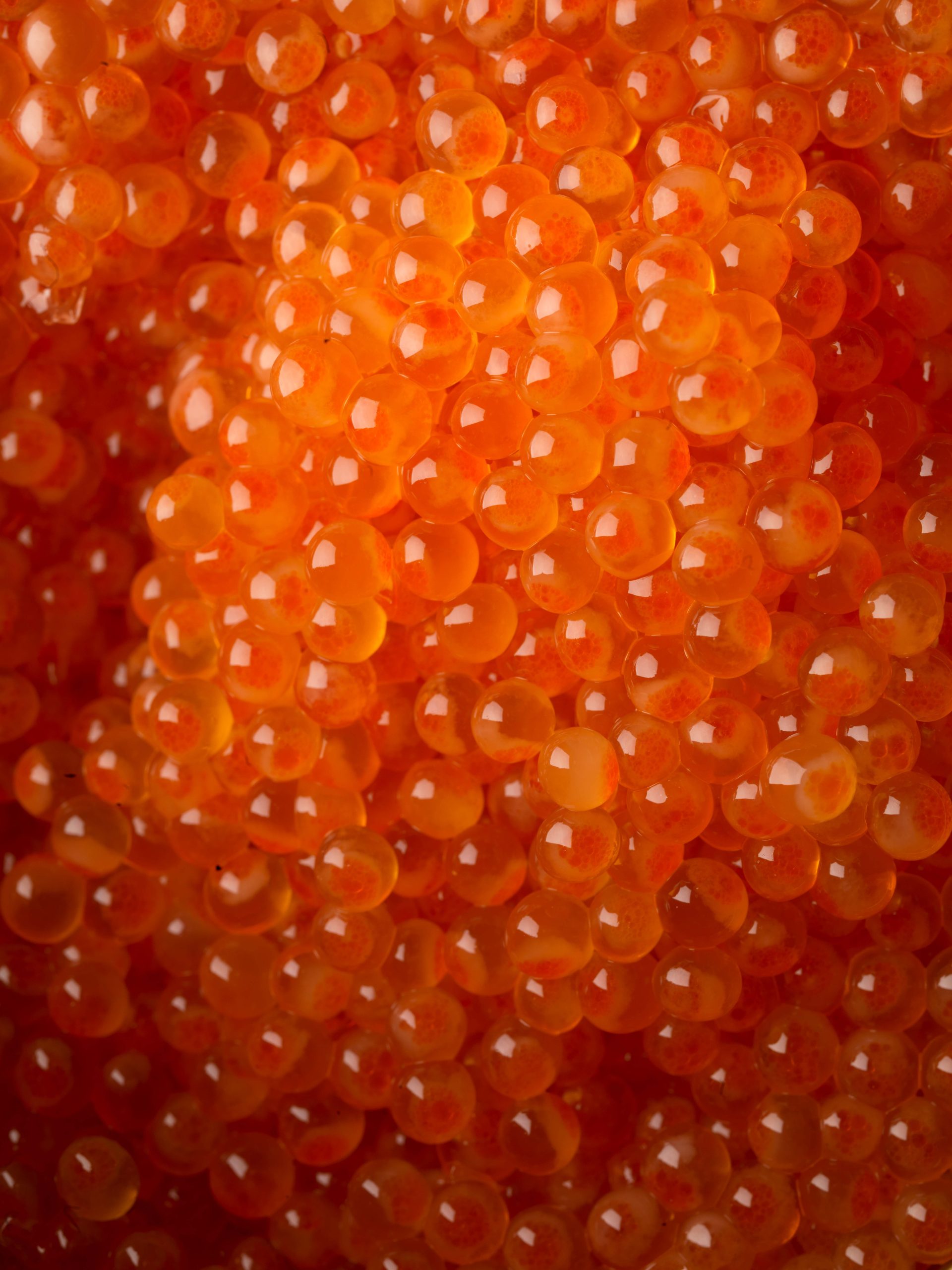 Fine Art Print – Trout Roe | Frantzén Projects